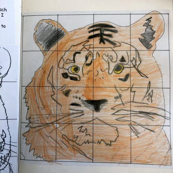 Year 5 Artwork: Proportion Drawings – Hexham Middle School